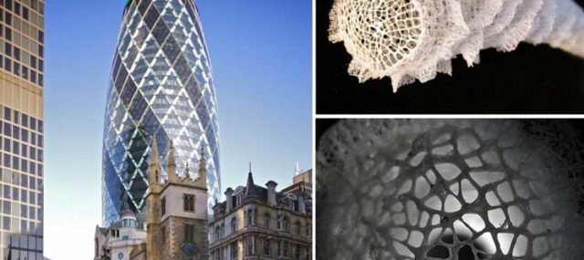 Interdisciplinary Practices in Architecture – Architecture BINUS University