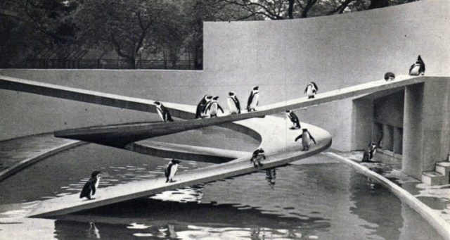 Architecture for Animals – Architecture BINUS University